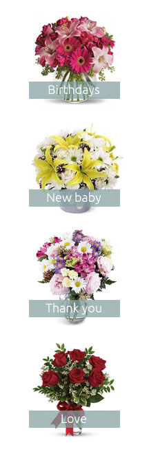 Flower Shop In Wichita Ks 🏵️ May 2026
