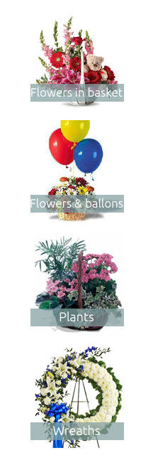 Flower Shop In Wichita Ks 🏵️ Mar 2026